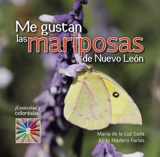 Me gustan las mariposas de Nuevo León